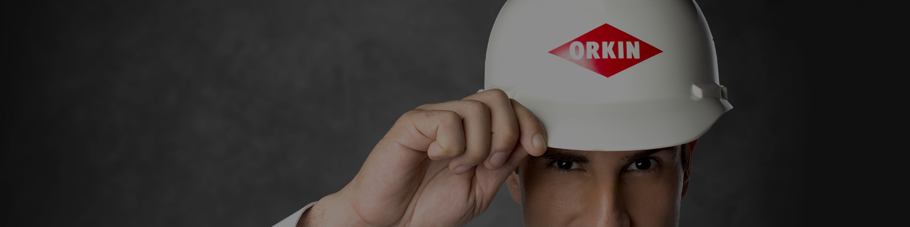 Why Orkin? | Pest control specialist in Abidjan | Orkin Côte d'Ivoire